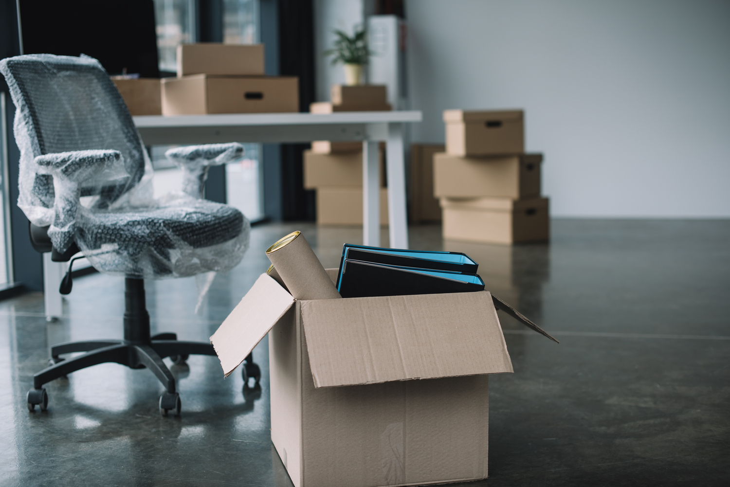 6 Tips to Prepare for a Stress-Free Office Move | Florida's Best Moving ...